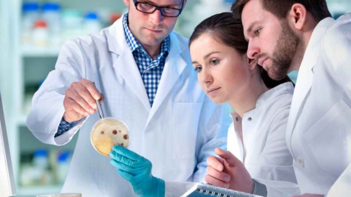 The Benefits of a Basic Medicine Degree | Omega Underground