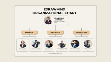 Create Organizational Chart Using EdrawMind | Omega Underground