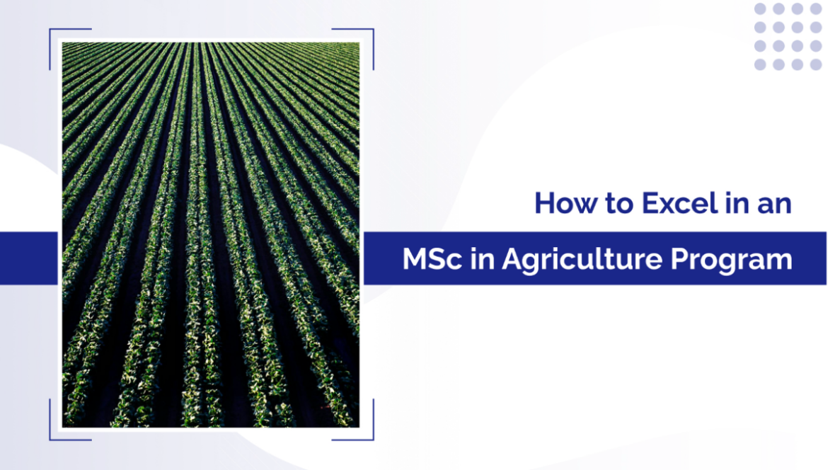 How to Excel in an MSc in Agriculture Program | Omega Underground